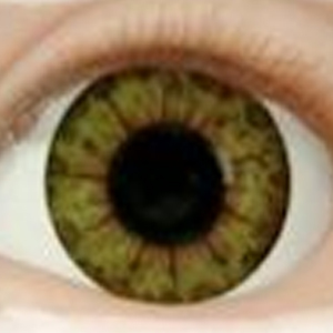 Real Golden Eyes